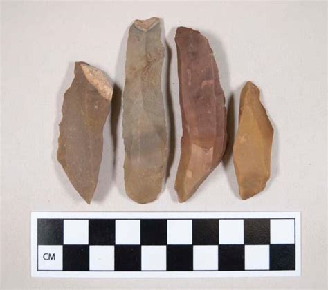 Chipped Stone Flint Blades Some With Cortex Some With Retouching Or Use Wear Objects Emuseum