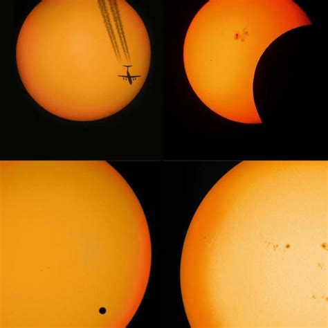 Lunt Solar Eclipse Glasses