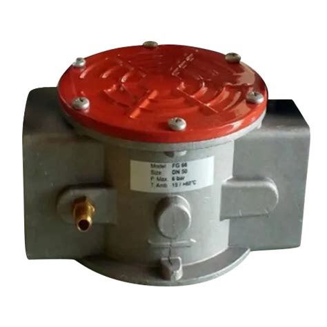 Silver Png Gas Filter At Best Price In Ahmedabad Pooja Engineers