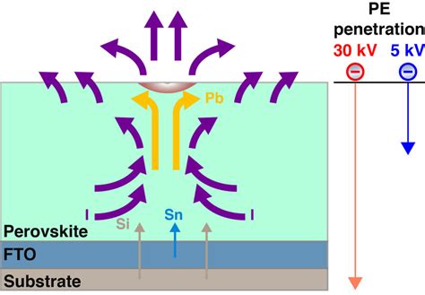 Schematic Illustration Of The Photo Induced Ion Migration Pathways In Download Scientific