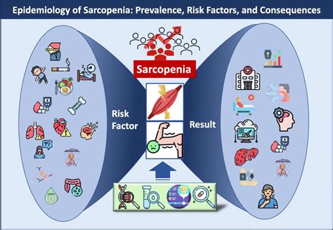 Epidemiology Of Sarcopenia Prevalence Risk Factors And Consequences Metabolism Clinical