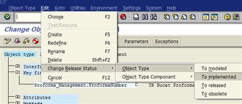 Create Business Object In Sap