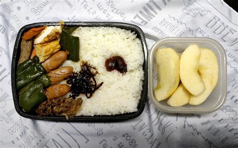 自家製弁当 その1034 我輩見聞録