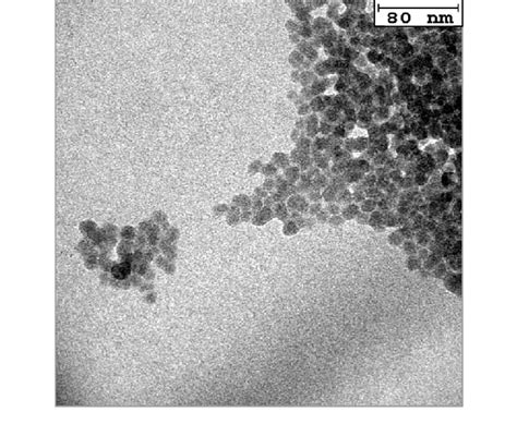 Tem Image Morphology Of Colloidal Nano Silica Particles Sc Download Scientific Diagram