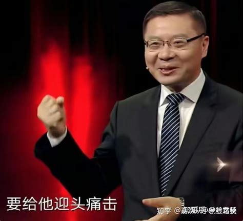 张维为表情包集锦 知乎