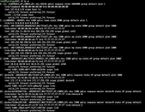 群晖机器上docker 安装该x86 64的镜像运行SSRP正常ping 国内可以访问ping google 不通 Issue