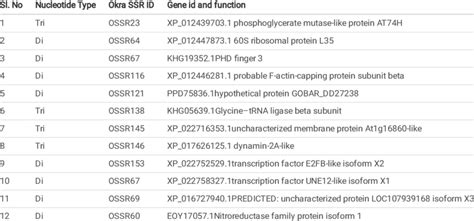 List Of Polymorphic Primers With Predicted Function Based On Sequence Download Scientific