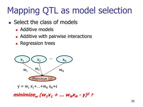 Ppt Statistical Methods For Quantitative Trait Loci Qtl Mapping Ii Powerpoint Presentation