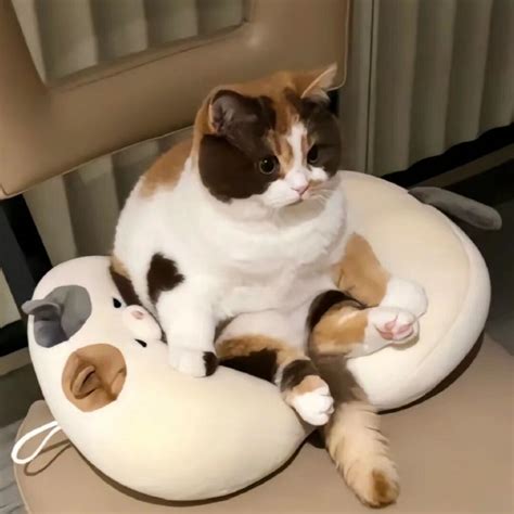 Unity之mesh网格 游戏开发笔记