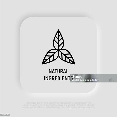 천연 성분 기호입니다 유기농 제품 패키지용 가는 선 아이콘 현대 벡터 그림입니다 0명에 대한 스톡 벡터 아트 및 기타 이미지 0명 건강한 생활방식 고급 Istock