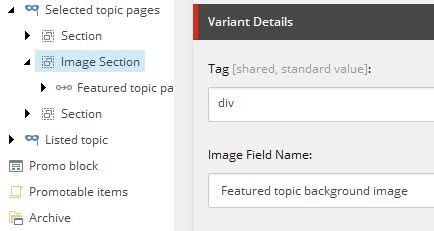 Experience Sitecore Creating A Custom Rendering Variant Section To Render Element With