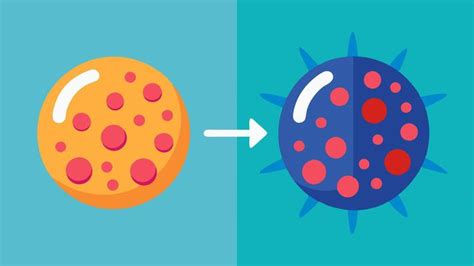 T Cell Vector Art Icons And Graphics For Free Download