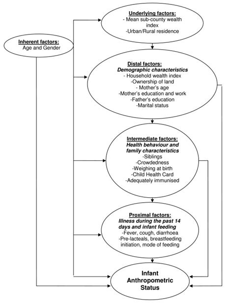 The Conceptual Hierarchical Framework Used As The Basis For Controlling Download Scientific