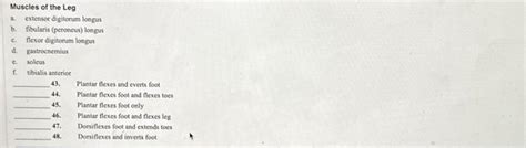 Solved Identify The Function Muscles Of The Lega ﻿extensor