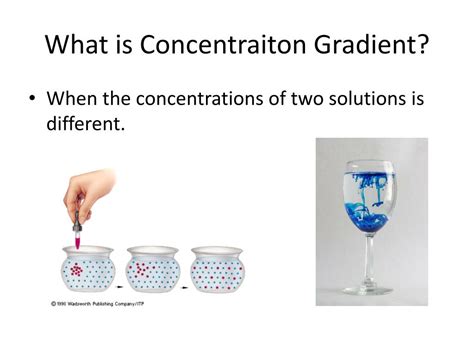 Ppt Understanding Membrane Structure And Water Maintaining Homeostasis