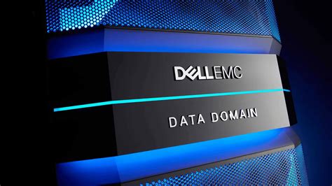 Data Domain Secretul Stocării Eficiente Daac Digital