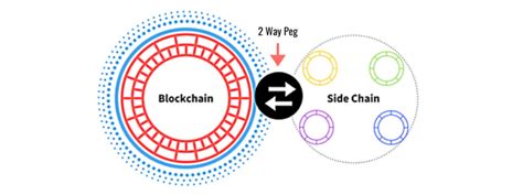 Long Read Guide On Different Types Of Blockchain P B Exchange