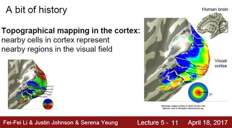 Cs231n Lecture 5 1 Convolutional Neural Networks Strutive07 블로그