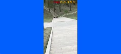 横屏播放视频，视频没有相对整个手机屏幕居中 · issue 3777 · carguo gsyvideoplayer · github