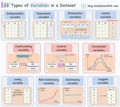 11 types of variables in a dataset in any tabular dataset we typically