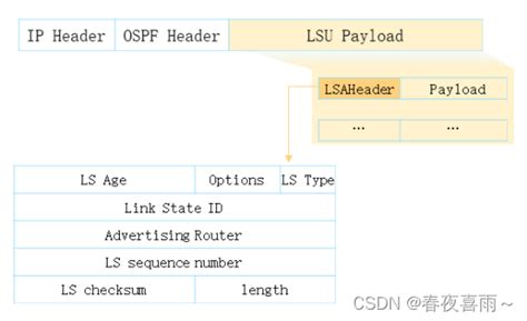 Ospf→ospf Mtu Csdn博客 Ospf→ospf Mtu Csdn博客