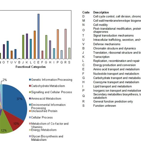 Genome Annotation Workflow Download Scientific Diagram