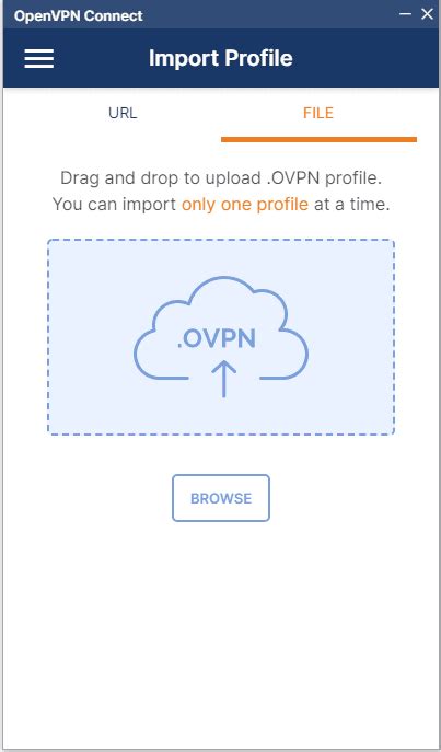 Cara Menggunakan Openvpn Di Windows Openvpn Id
