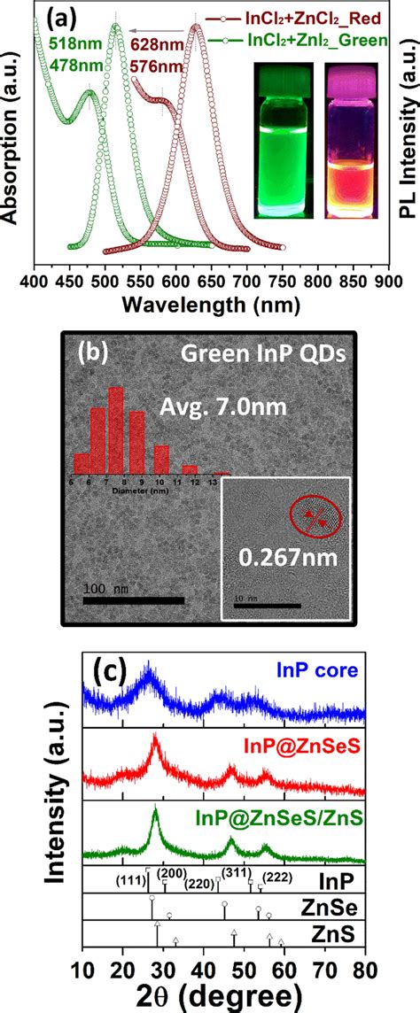 Uv Vis Absorption And Pl Spectra Of Green And Red Inp Qds A Tem Download Scientific Diagram