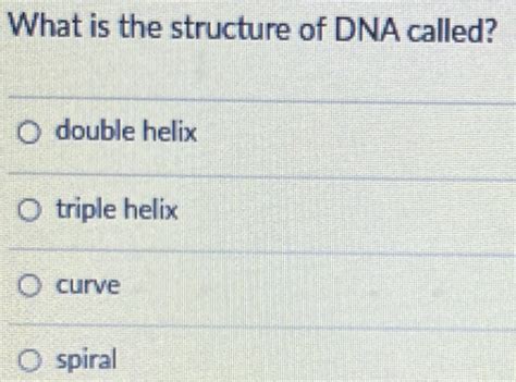 Solved What Is The Structure Of Dna Called Double Helix Triple Helix