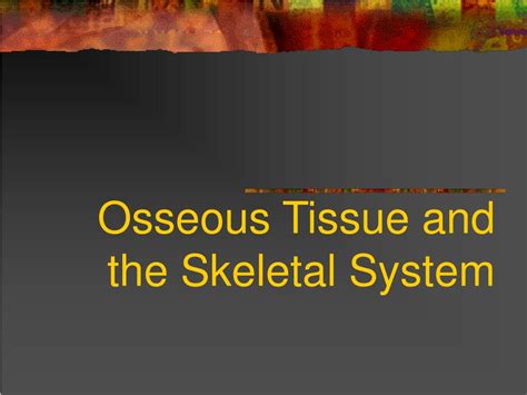 PPT Understanding Osseous Tissue And Bone Structure Key Functions And Growth PowerPoint
