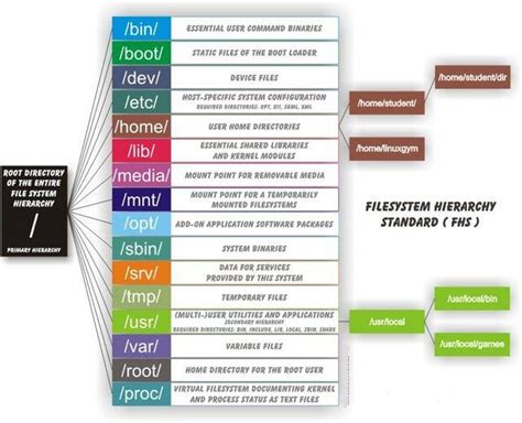 Linux File System Structure Geeks Terminal