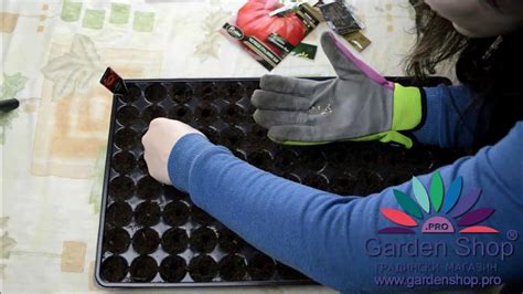 Как се прави засяване на семена от домати в табли за разсад Youtube