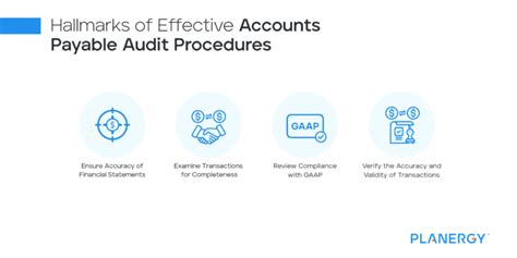 Accounts Payable Audit Procedures PLANERGY Software