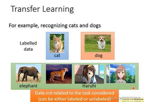 Pytorch Chapter 1 李宏毅深度学习 Ai 简介 Csdn博客