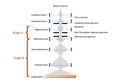Transmission Electron Microscope Diagram