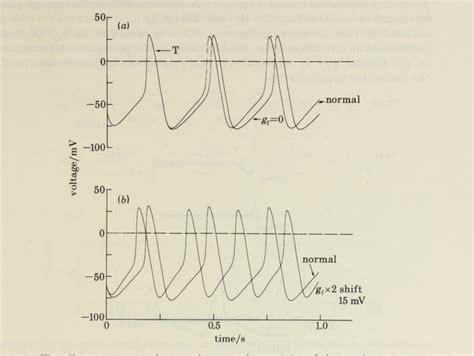 Figure 8 From The Ionic Currents Underlying Pacemaker Activity In