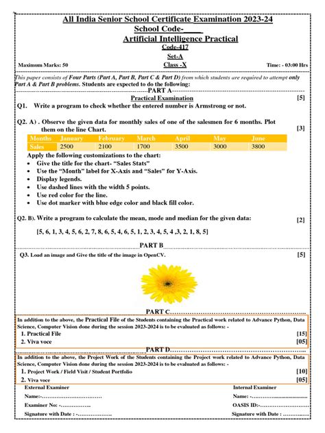 Skd Class 10 Artificial Intelligence Practical Set A Final Pdf