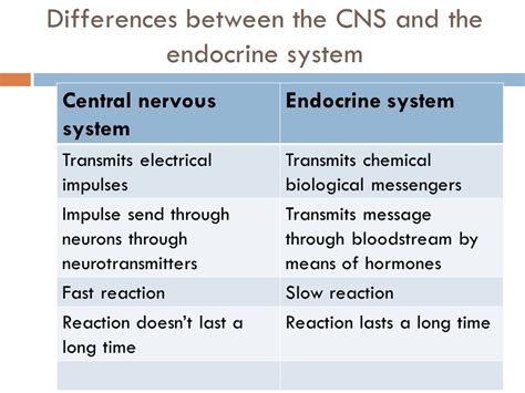 Difference Between Nervous System And Endocrine System Pregnant