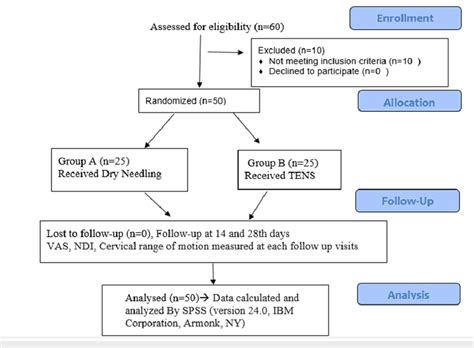 Consort Diagram Consort Consolidated Standards Of Reporting Trials