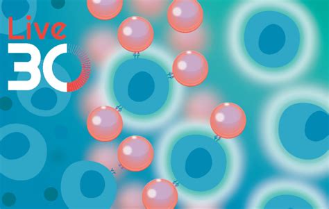 Achieving Flexibility And Scalability In Cell Therapy Manufacturing