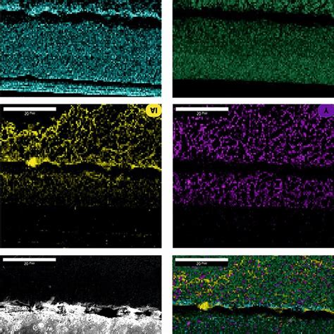 Sem Cross Section Image And The Corresponding Eds Elemental Mapping Of Download Scientific