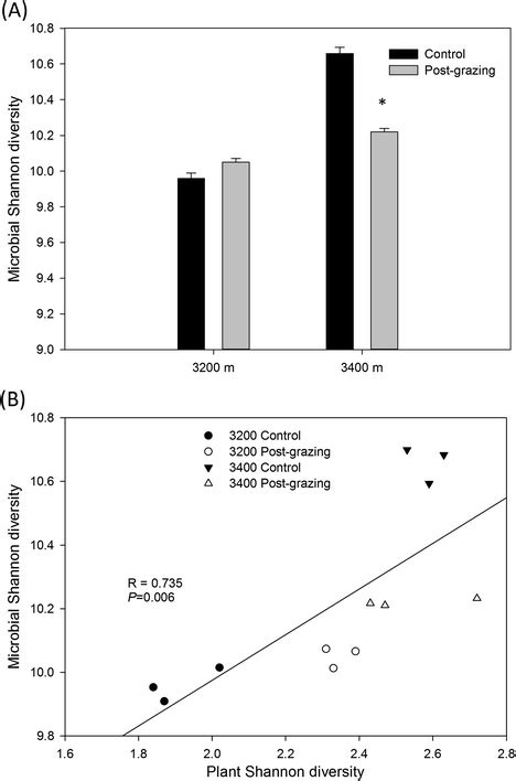 A Microbial Functional Diversities At The 3200 M And 3400 M Sites Download Scientific