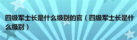 四级军士长是什么级别的官四级军士长是什么级别 环球知识网