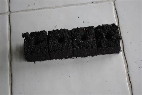 Organic Bounty Soil Block Trials