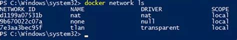 How To Configure Windows Container Networking TechTarget