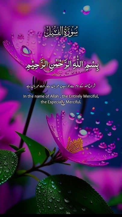 Amazing Voice Quran Recitation🌸best Quran Reciters In The World 2024♥️ Shairi Imamqasim