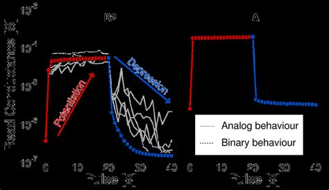 2 5 Conductance Evolution During The Application Of A Series Of 20 Download Scientific Diagram