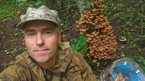 Опята появились неожиданно рано Youtube