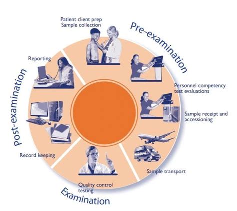 Nesrin M Ali On Linkedin Total Testing Process Laboratorymanagementsystem…