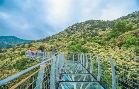 江西文旅一卡通新增景区大余丫山4A景区持一卡通来这洗肺吧 腾讯新闻